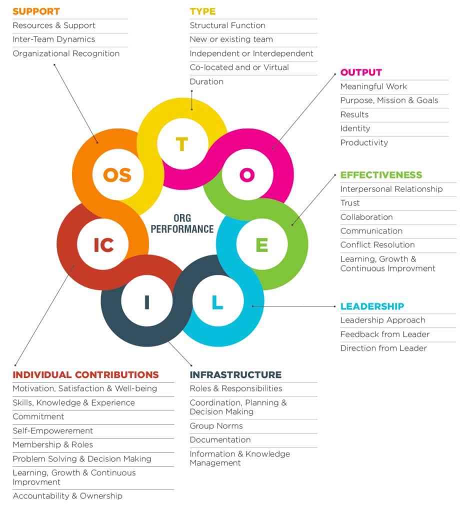 ORGANIAZTIONAL EFFENTIAL ESSENTIALS OVERVIEW